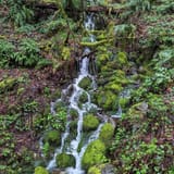 Grand Ridge Park Trail, Washington - 427 Reviews, Map | AllTrails