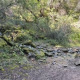 Olmstead Loop and Wendell Robie Trail, California - 2,926 Reviews, Map ...