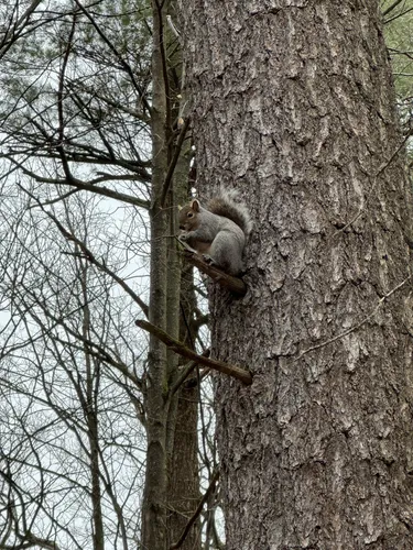 Best Hikes and Trails in Red Rocks Park | AllTrails