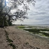 Itchenor Circular, West Sussex, England - 247 Reviews, Map | AllTrails