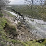 Itchenor Circular, West Sussex, England - 247 Reviews, Map | AllTrails
