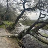 Itchenor Circular, West Sussex, England - 247 Reviews, Map | AllTrails