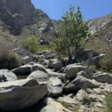 Tahquitz Canyon Loop, California - 4,180 Reviews, Map | AllTrails