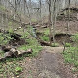 Rock Hollow Trail, Missouri - 1,334 Reviews, Map | AllTrails