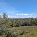Olmstead Loop and Wendell Robie Trail, California - 2,926 Reviews, Map ...