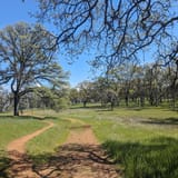 Olmstead Loop and Wendell Robie Trail, California - 2,926 Reviews, Map ...