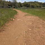 Olmstead Loop and Wendell Robie Trail, California - 2,926 Reviews, Map ...