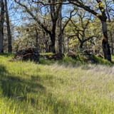 Olmstead Loop and Wendell Robie Trail, California - 2,926 Reviews, Map ...