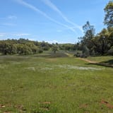 Olmstead Loop and Wendell Robie Trail, California - 2,926 Reviews, Map ...