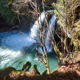 Kalama Falls Trail, Washington - 553 Reviews, Map | AllTrails
