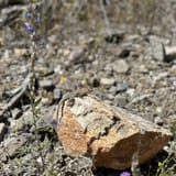 Quartz Ridge Trail Loop, Arizona - 616 Reviews, Map | AllTrails