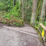 Whatcom Creek Trail Loop, Washington - 1,962 Reviews, Map | AllTrails