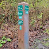 Whatcom Creek Trail Loop, Washington - 1,962 Reviews, Map | AllTrails