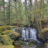 Whatcom Creek Trail Loop, Washington - 1,907 Reviews, Map | AllTrails