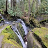 Whatcom Creek Trail Loop, Washington - 1,962 Reviews, Map | AllTrails