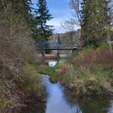 Whatcom Creek Trail Loop, Washington - 1,962 Reviews, Map | AllTrails