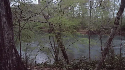 Best Hikes and Trails in Crooked Creek Park | AllTrails