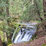 Whatcom Creek Trail Loop, Washington - 1,962 Reviews, Map | AllTrails