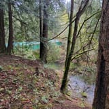 Whatcom Creek Trail Loop, Washington - 1,867 Reviews, Map | AllTrails
