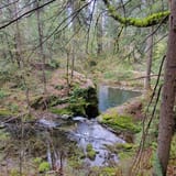 Whatcom Creek Trail Loop, Washington - 1,907 Reviews, Map | AllTrails