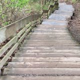 Whatcom Creek Trail Loop, Washington - 1,907 Reviews, Map | AllTrails