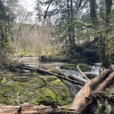 Kennedy Falls Trail , Washington - 869 Reviews, Map | AllTrails