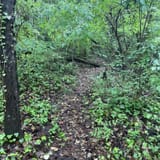 Evergreen Nature Preserve Loop, North Carolina - 880 Reviews, Map ...