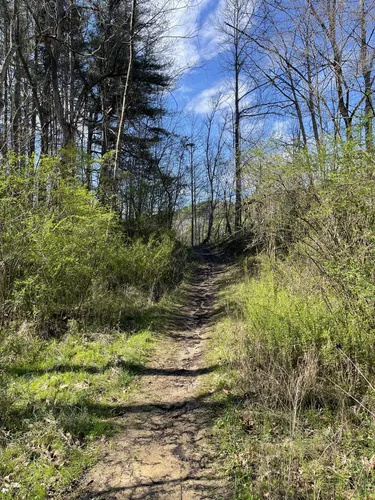 Best Moderate Trails in Strouds Run State Park | AllTrails