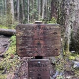 Sol Duc Falls Trail, Washington - 4,551 Reviews, Map | AllTrails