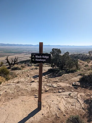 Best Moderate Trails in Black Ridge Canyons Wilderness | AllTrails