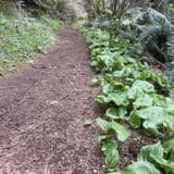 Secret Beach Trail, Oregon - 1,353 Reviews, Map | AllTrails