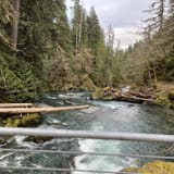 Staircase Rapids Loop, Washington - 2,453 Reviews, Map | AllTrails