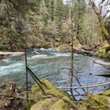 Staircase Rapids Loop, Washington - 2,453 Reviews, Map | AllTrails