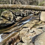 Daniel Ridge Loop, North Carolina - 1,858 Reviews, Map | AllTrails