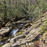 Daniel Ridge Loop, North Carolina - 1,858 Reviews, Map | AllTrails