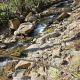 Daniel Ridge Loop, North Carolina - 1,858 Reviews, Map | AllTrails