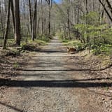 Daniel Ridge Loop, North Carolina - 1,859 Reviews, Map | AllTrails