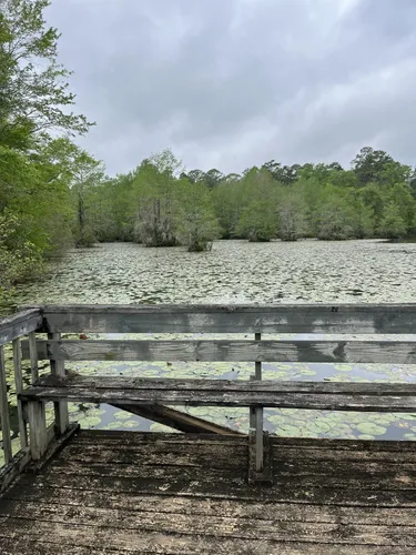 Best Hikes and Trails in Bluffton | AllTrails