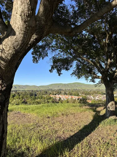 Best Hikes and Trails in Newhall Community Park | AllTrails