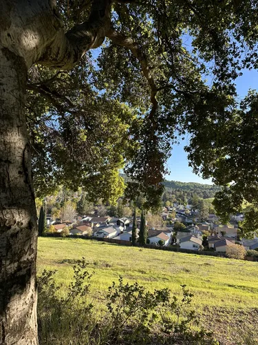 Best Hikes and Trails in Newhall Community Park | AllTrails