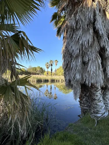 Best Hikes and Trails in Newhall Community Park | AllTrails