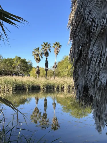 Best Hikes and Trails in Newhall Community Park | AllTrails