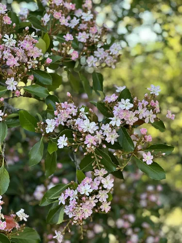 Best Hikes and Trails in Newhall Community Park | AllTrails