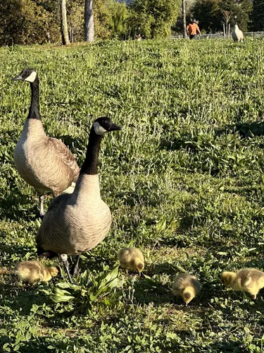 Best Hikes and Trails in Newhall Community Park | AllTrails