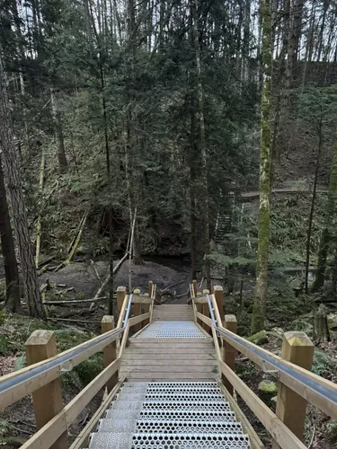 Best Hikes and Trails in Latoria Creek Park | AllTrails