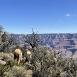 Shoshone Point, Arizona - 1,824 Reviews, Map | AllTrails