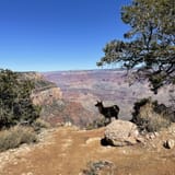 Shoshone Point, Arizona - 1,838 Reviews, Map | AllTrails