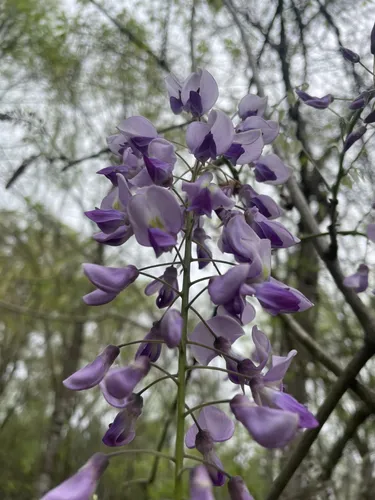 Best Hikes and Trails in Chapman Mountain Nature Preserve | AllTrails