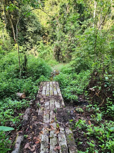 Best Hikes and Trails in Bukit Panchor State Park | AllTrails