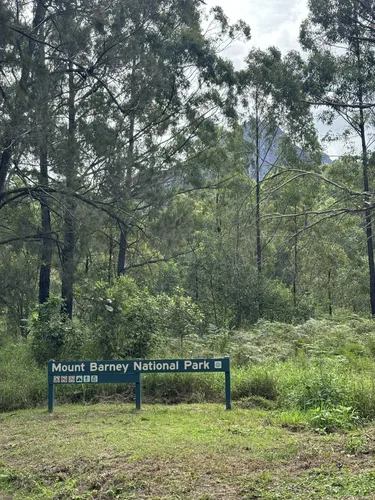Best Waterfall Trails in Mount Barney National Park | AllTrails